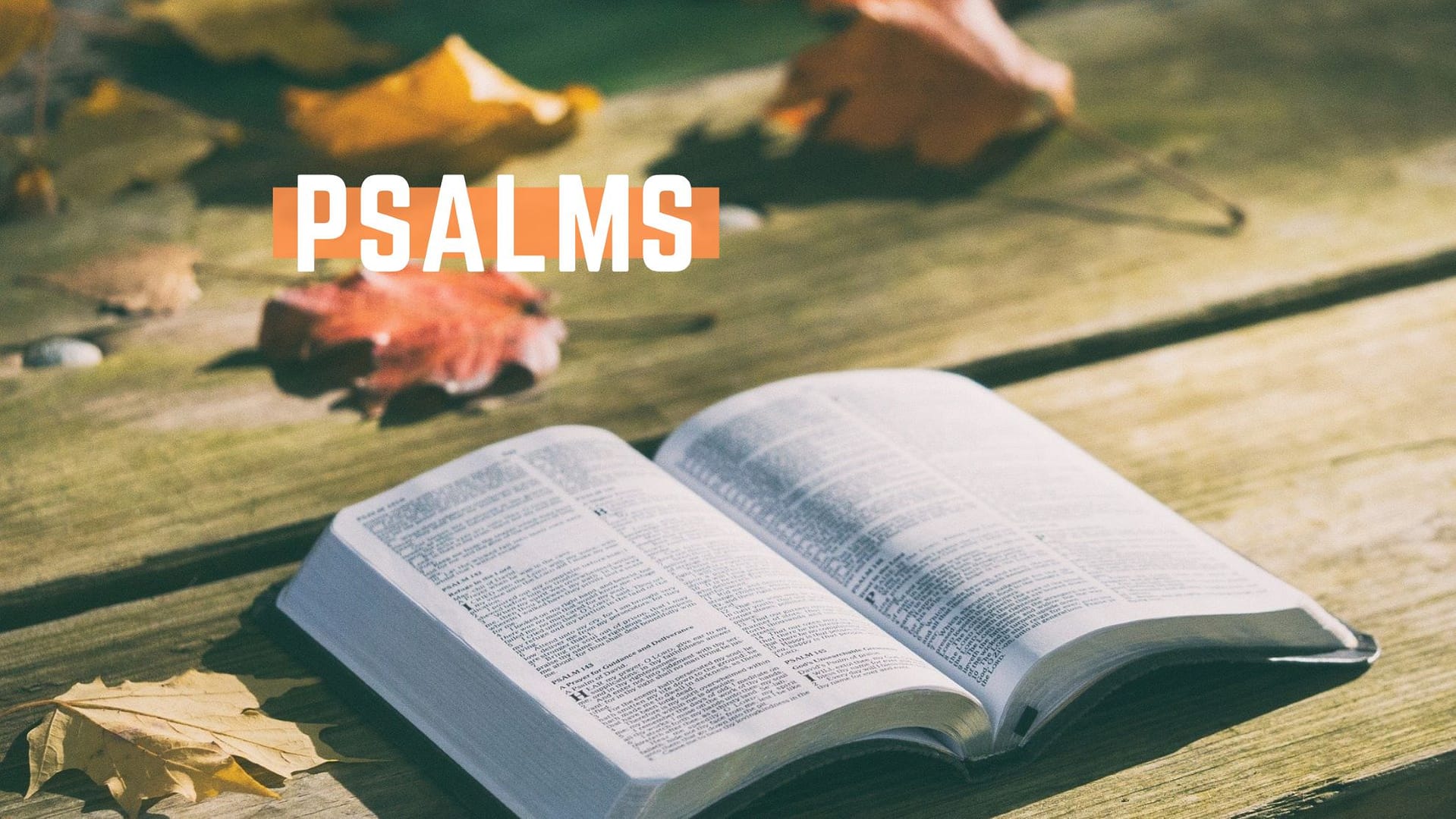 Psalms – God’s Hymnbook – Dubbo Anglican Church